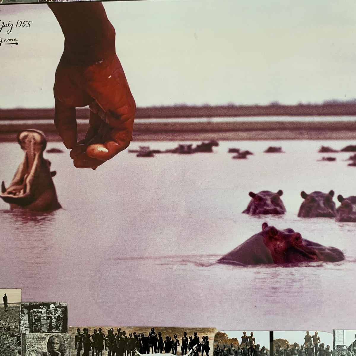 Original Peter Beard Artworks and Photography – Bayliss Rare Books